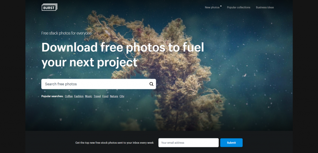 Best Websites to Download FREE Stock Images for Website (or any use)