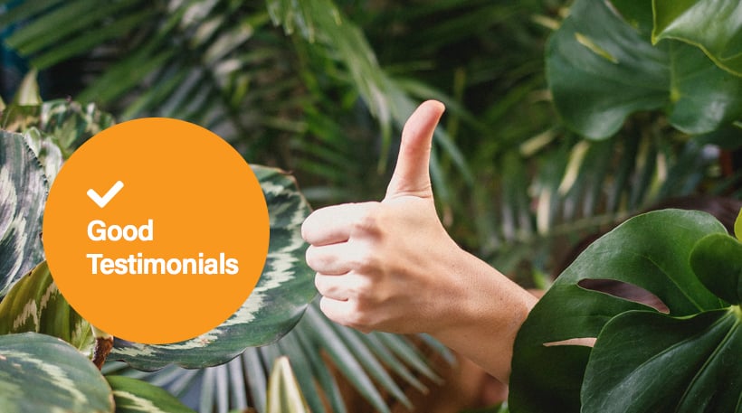 How to Write a Good Testimony? [Includes Examples & Templates]